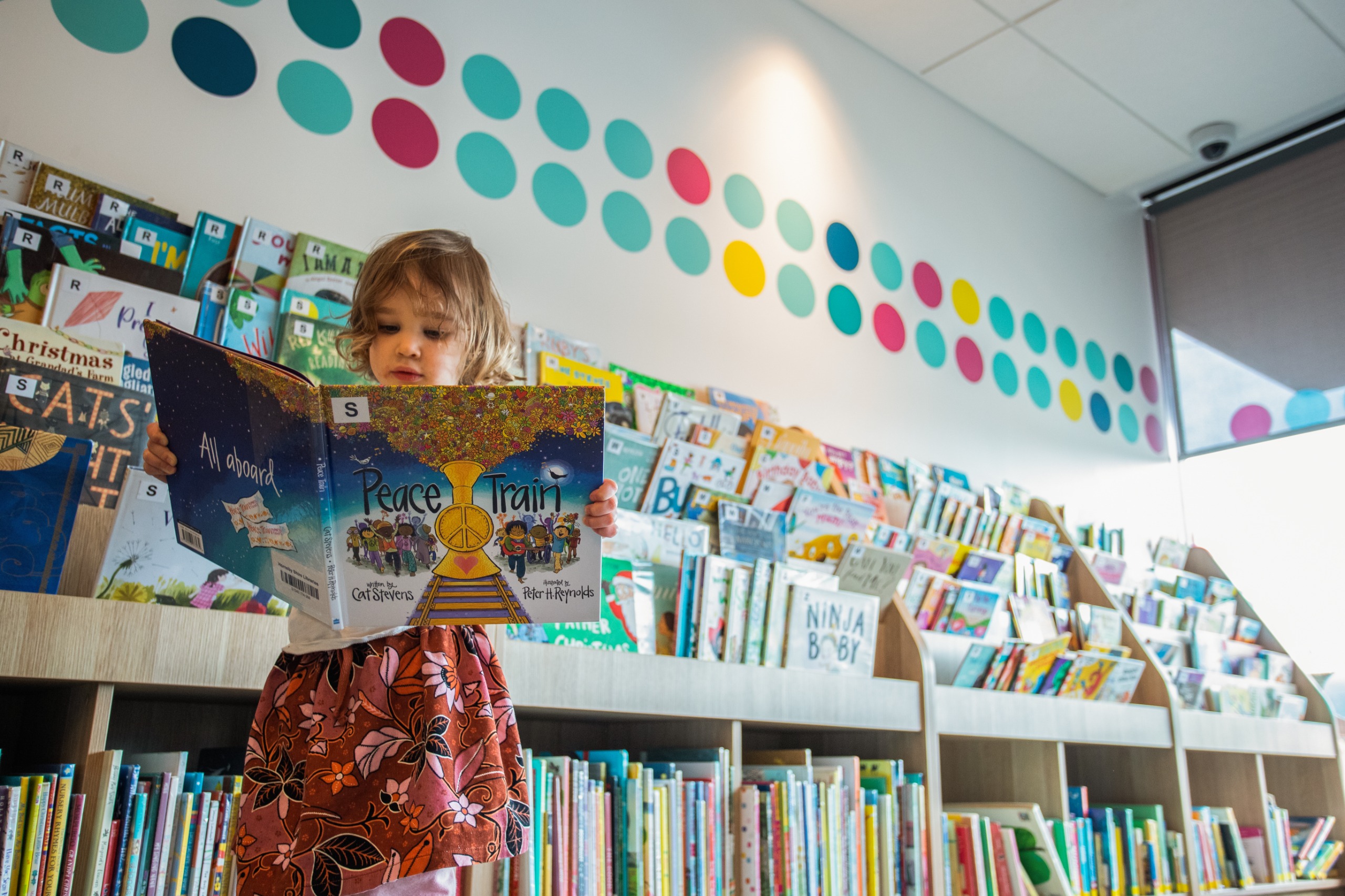 Library Community Satisfaction Survey | Yoursay Hornsby