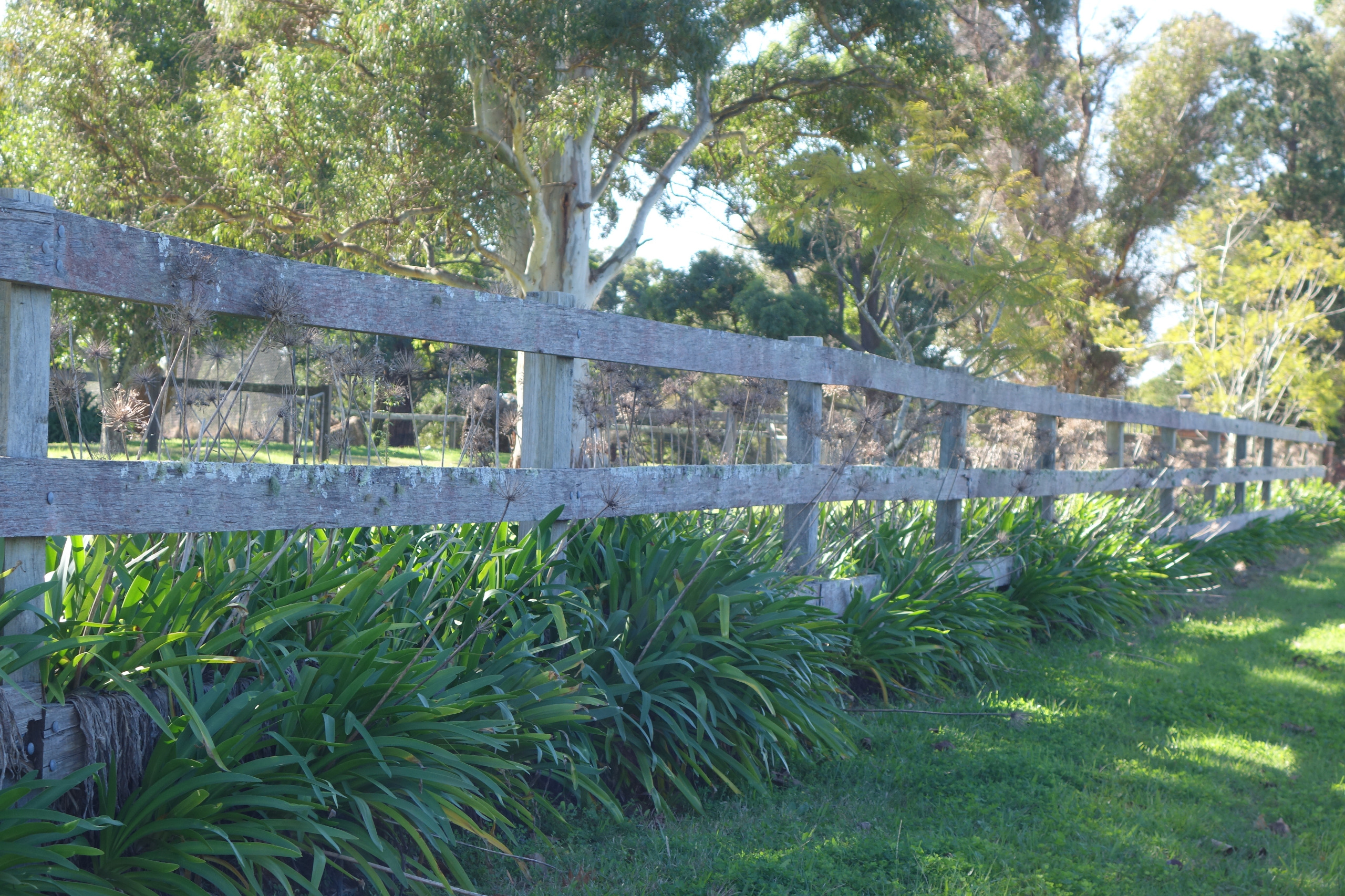 Glenorie Village Investigations - Investigation Report | Glenorie ...