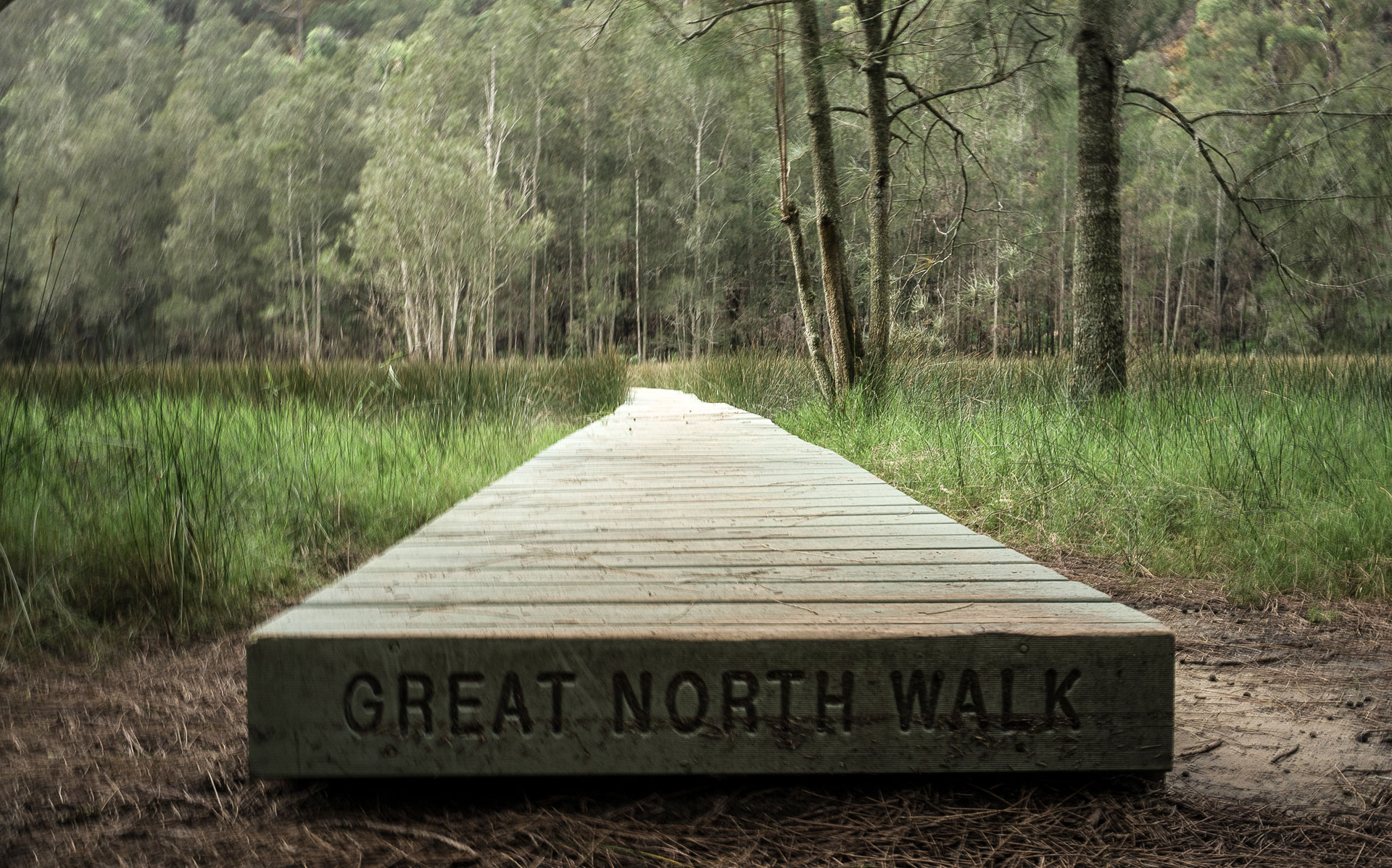 Great North Walk Upgrades Berowra to Cowan | Yoursay Hornsby